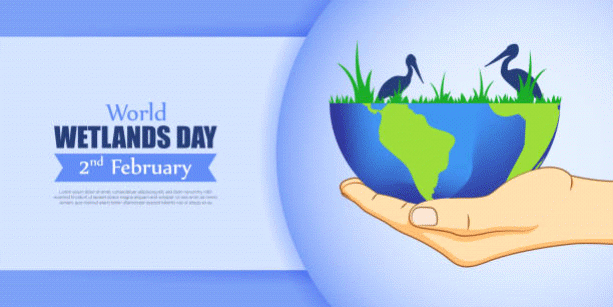 Everything You Need to Know about World Wetlands Day