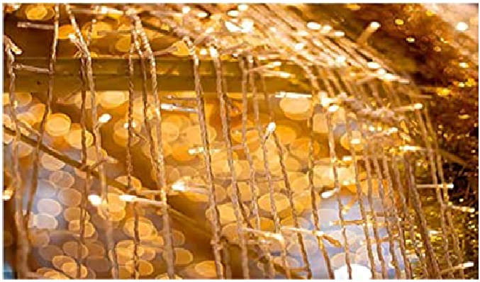 Rice Lights for Decoration - Centralized Citizen Hub